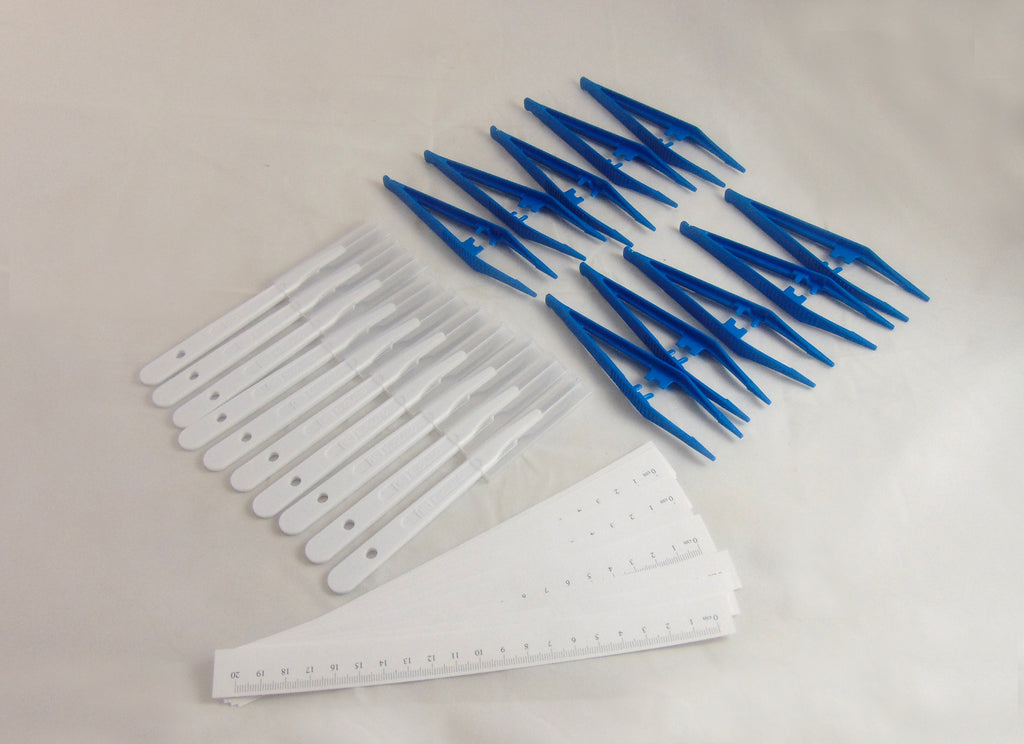 Anatomy & Physiology Lab 02: Autopsy, Surgery, & Suturing - Durable ...