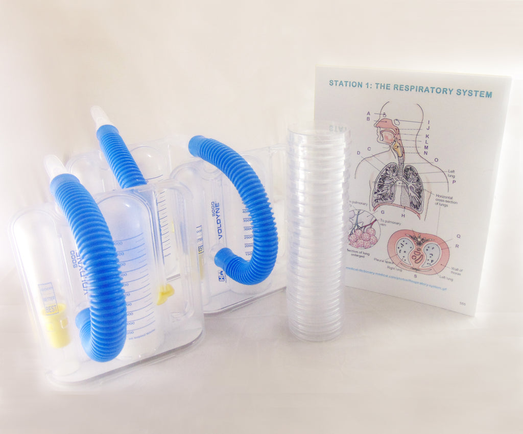 Anatomy & Physiology Lab 14: The Respiratory System - Durable – OrderHASPI